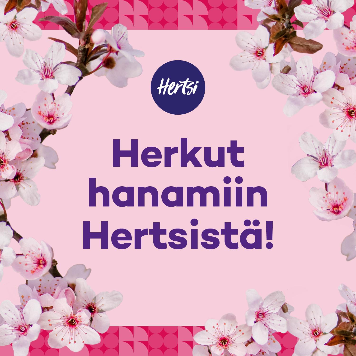 Hertsi x Hanami - Kauppakeskus Hertsi